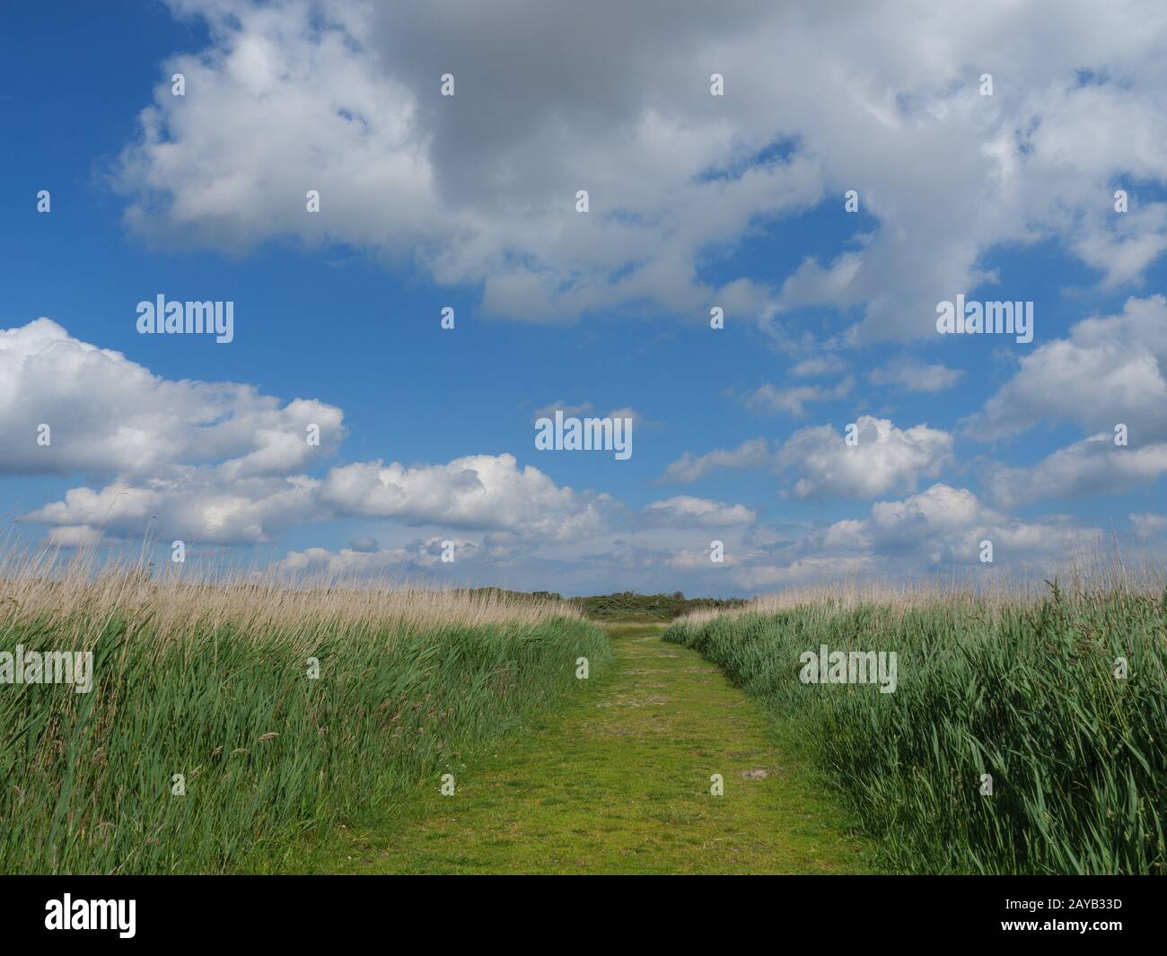 Baltrum island hi-res stock photography and images - Alamy