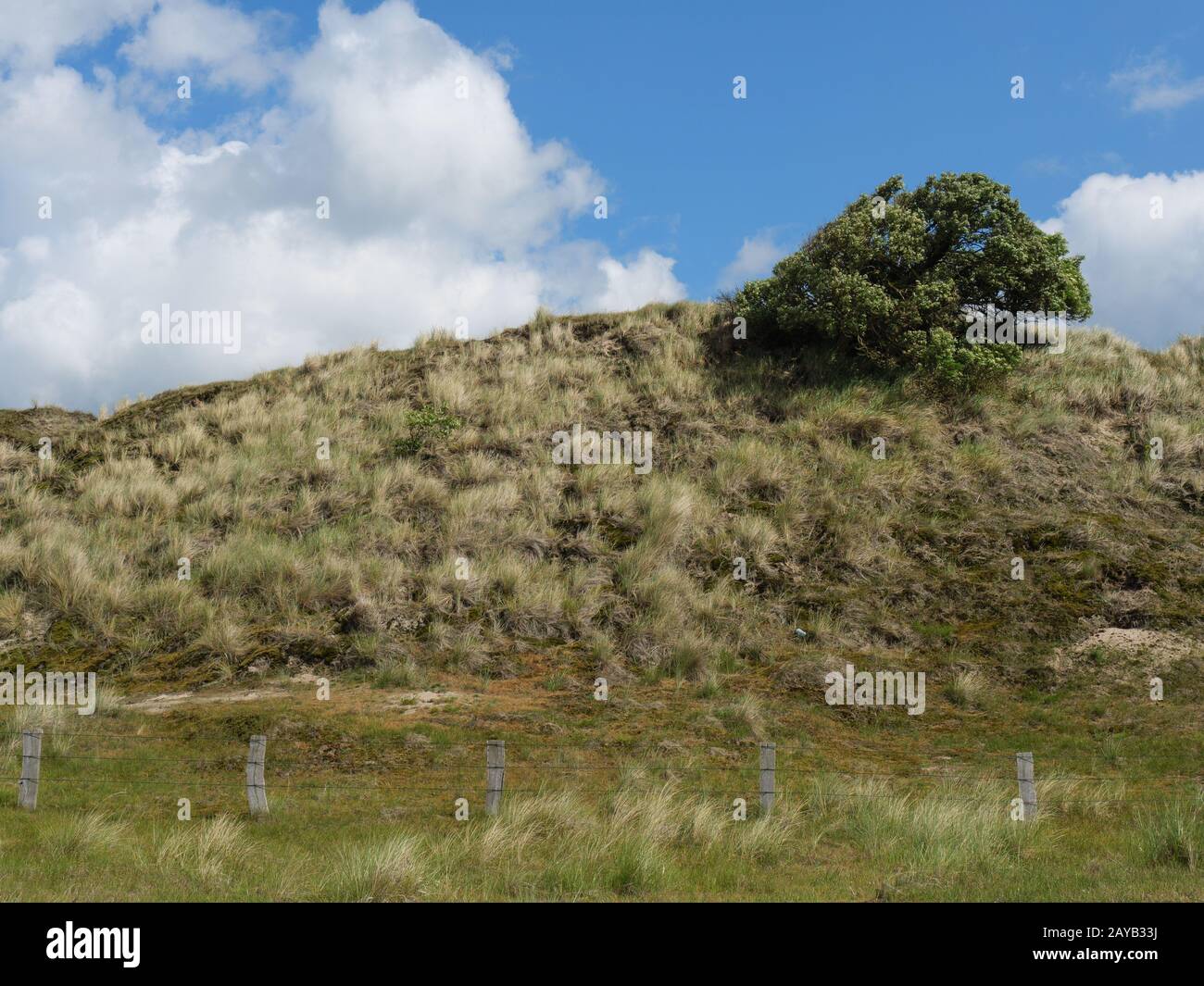 island of baltrum Stock Photo - Alamy