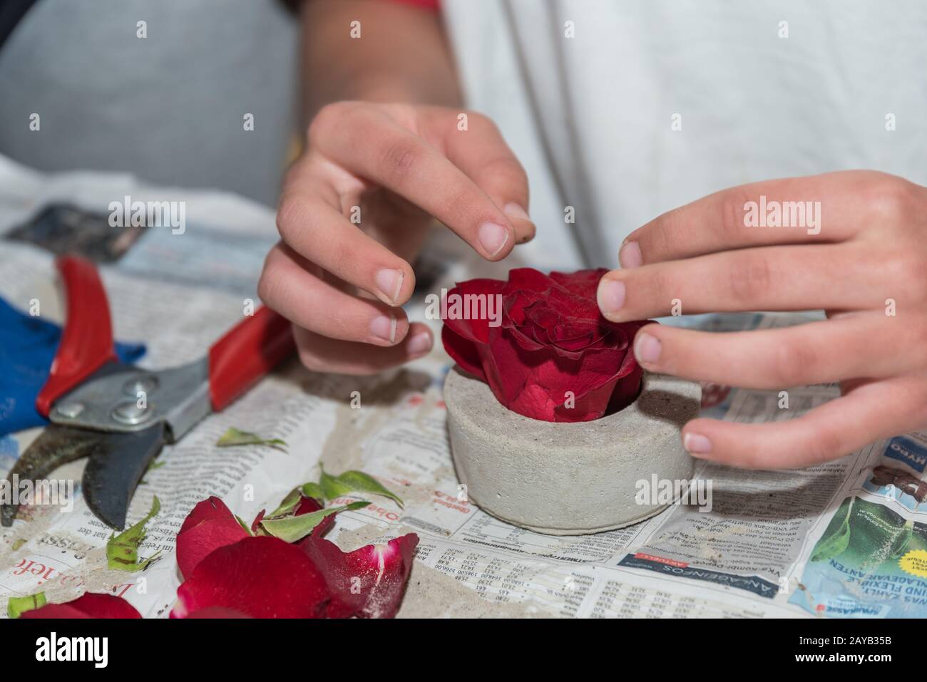 Concrete rose hi-res stock photography and images - Alamy