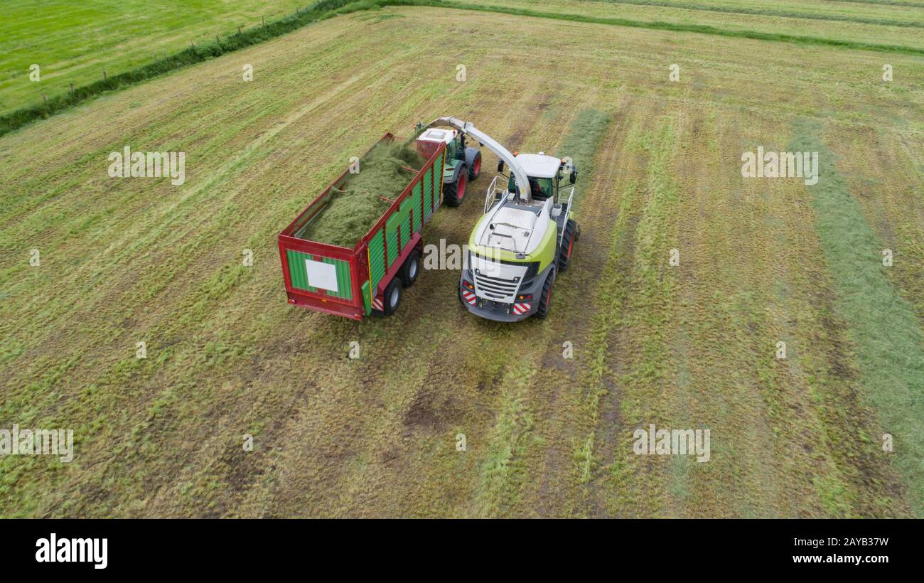 grass harvest on a field Stock Photo - Alamy