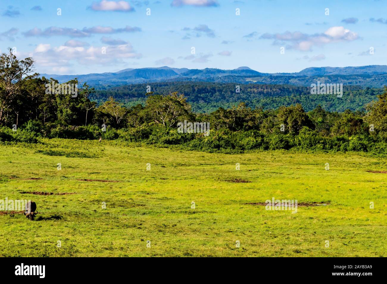 Aberdare kenya hi-res stock photography and images - Alamy