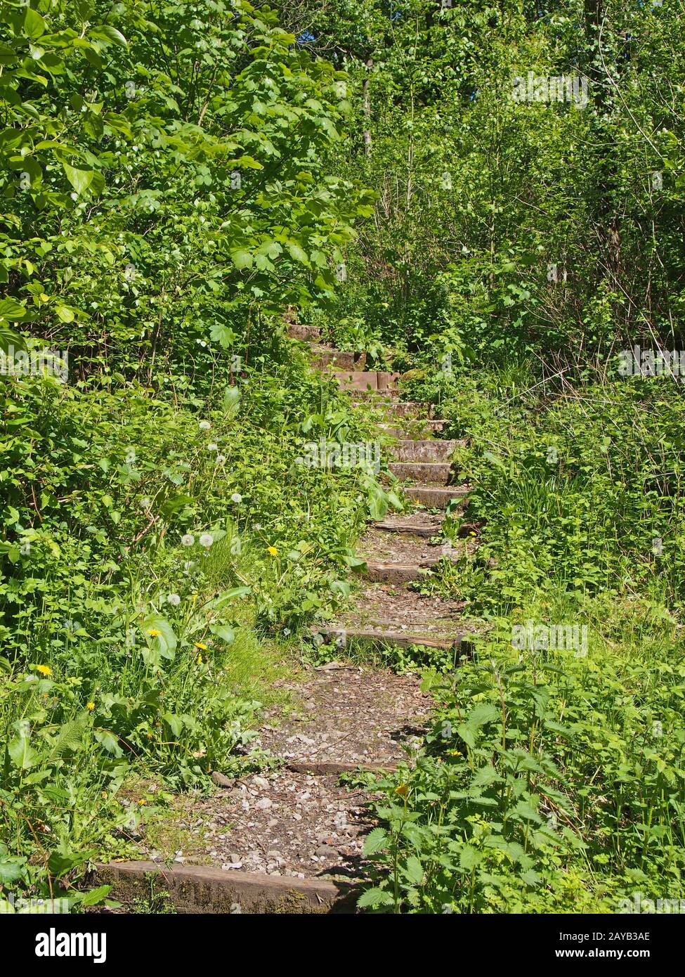 Green steps leading upwards hi-res stock photography and images - Alamy