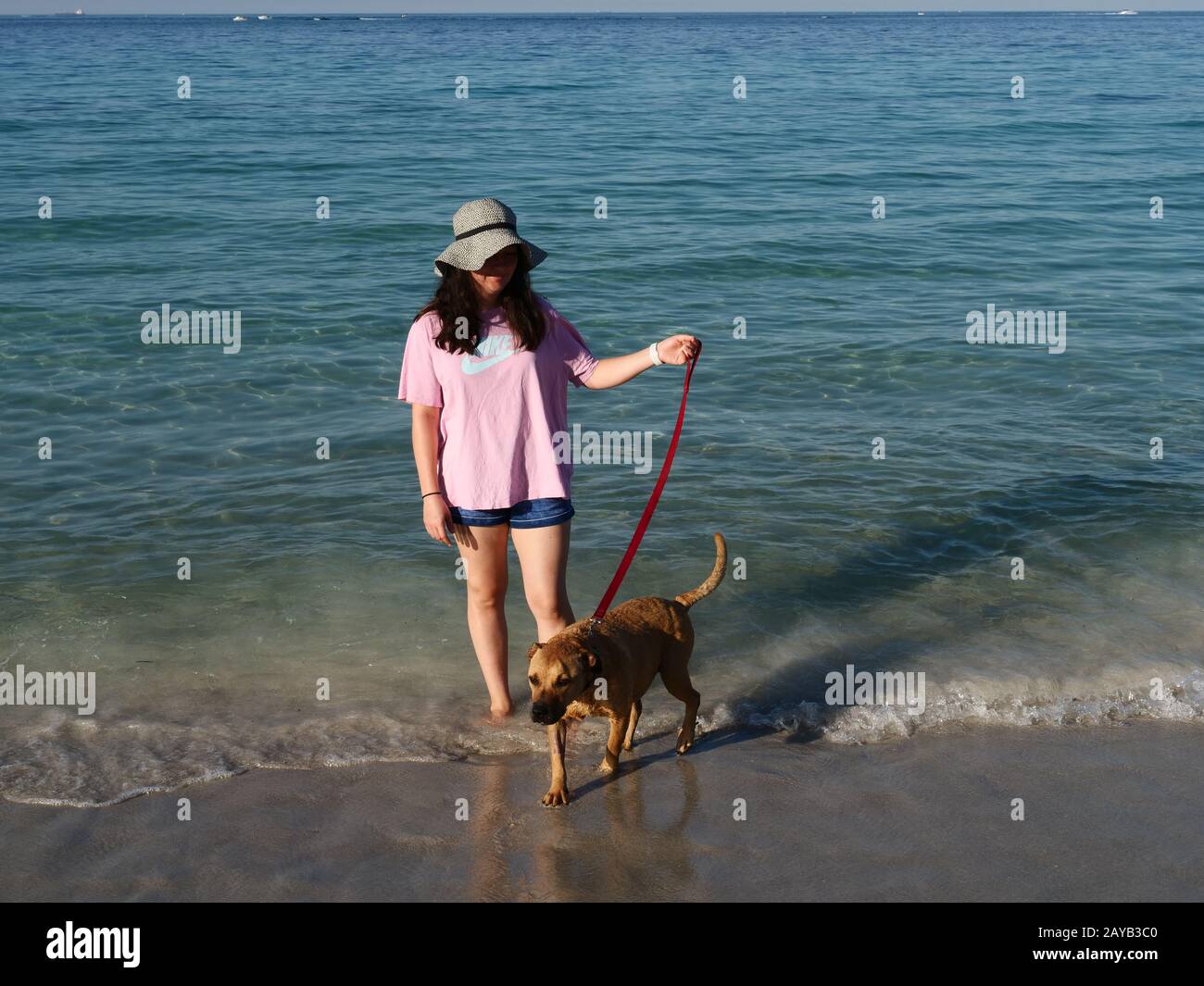 Woman walks dog on Whitford dog beach, Perth, Western Australia Stock ...