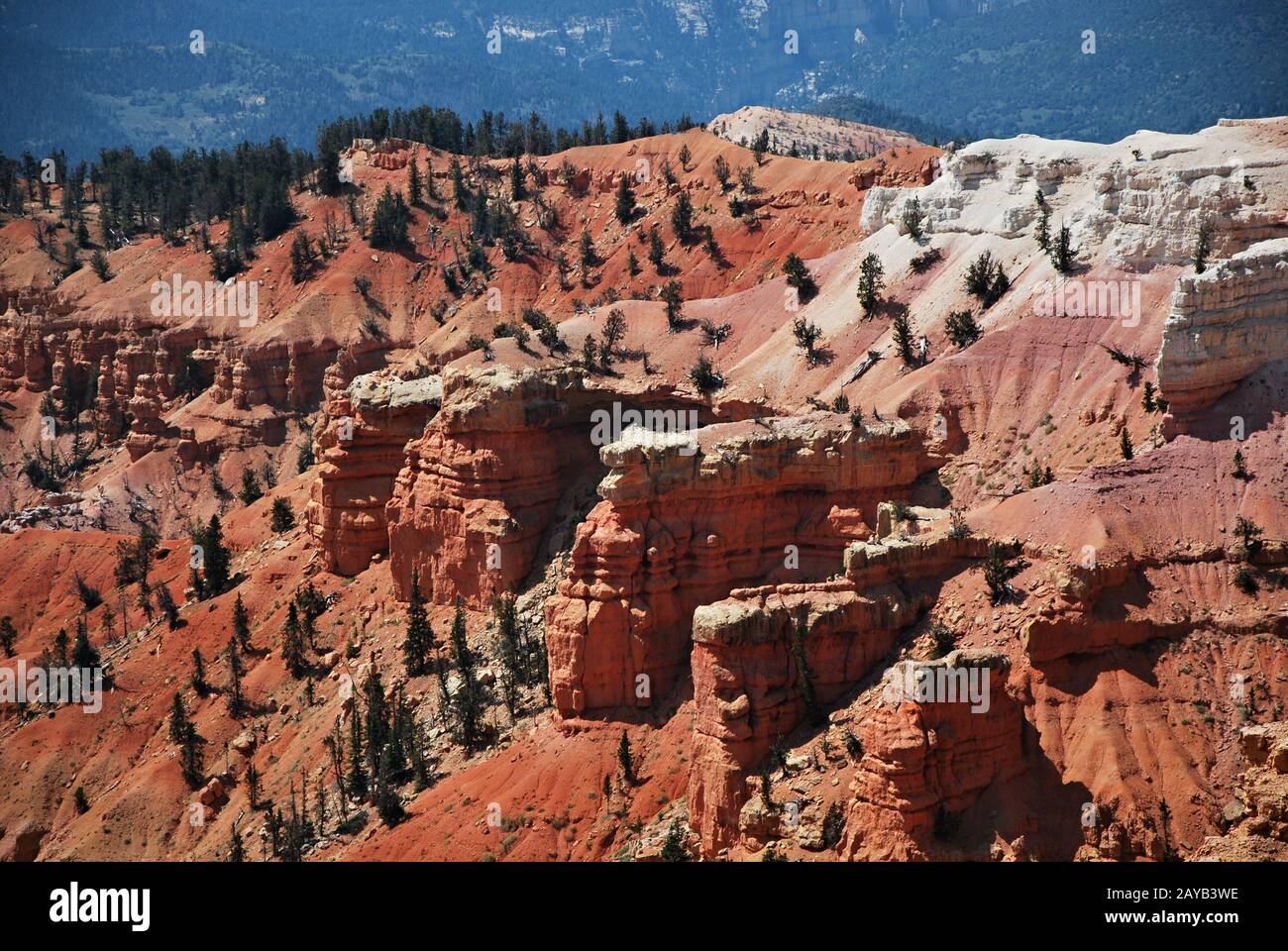 Cedar Breaks National Monument, Utah Stock Photo - Alamy