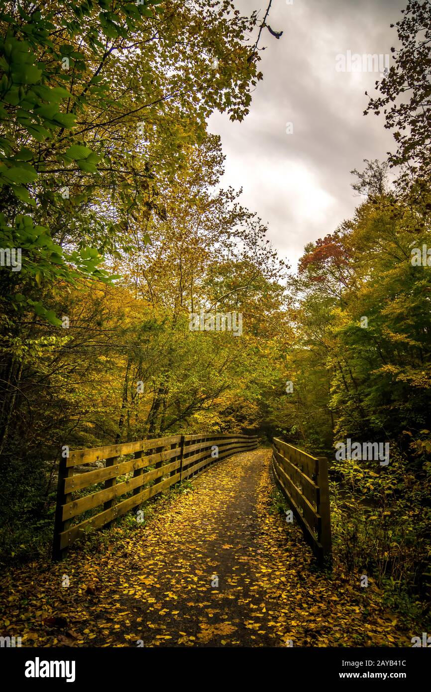 Scenic views along virginia creeper trail Stock Photo - Alamy