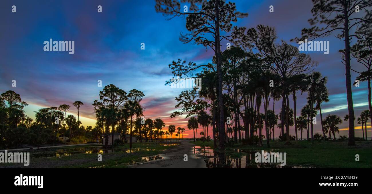 beautiful nature on hunting island south carolina Stock Photo - Alamy