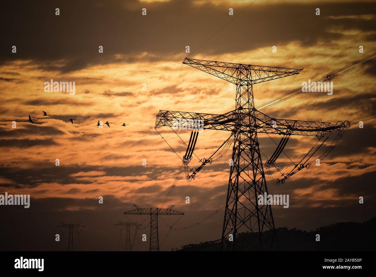 Electricity transmission towers in hi-res stock photography and images ...