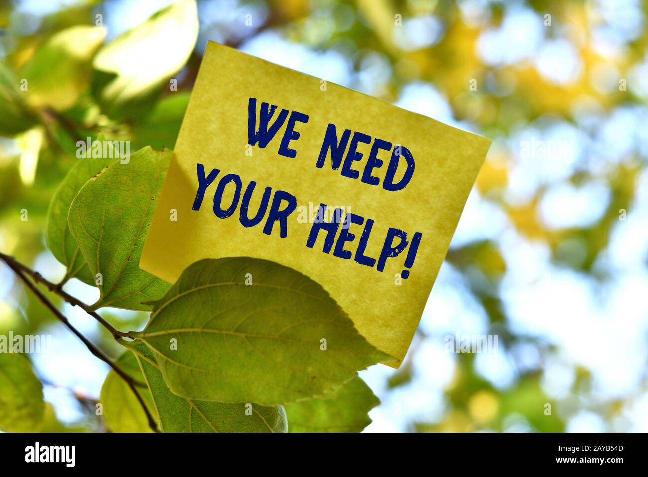 Giving feedback to someone else hi-res stock photography and images - Alamy