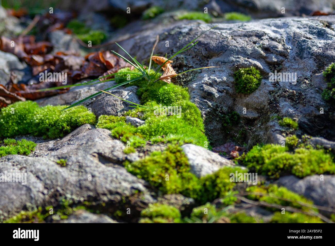 Texture of fallen rocks hi-res stock photography and images - Alamy