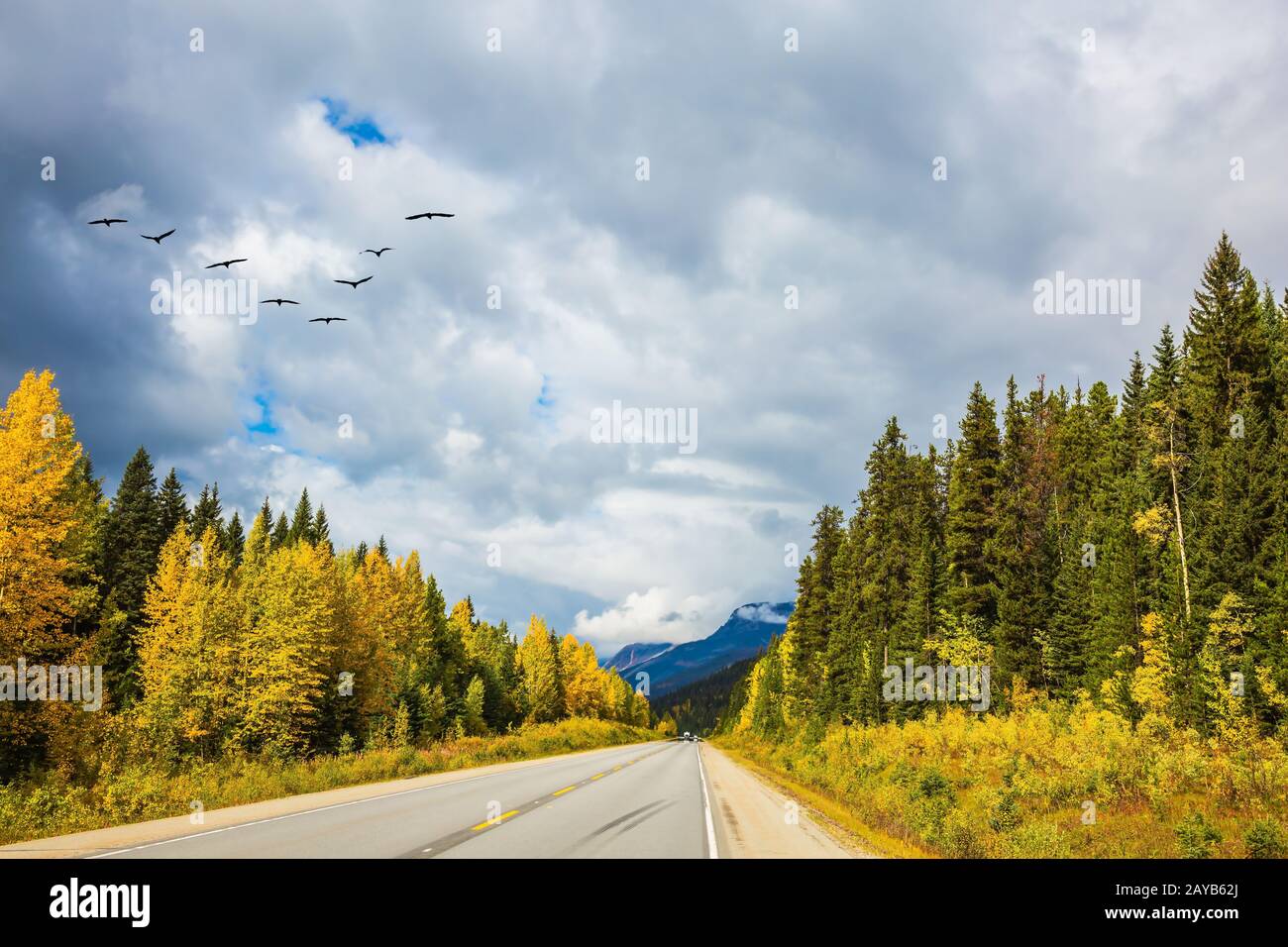 The Highway 93 Icefields Parkway Stock Photo - Alamy