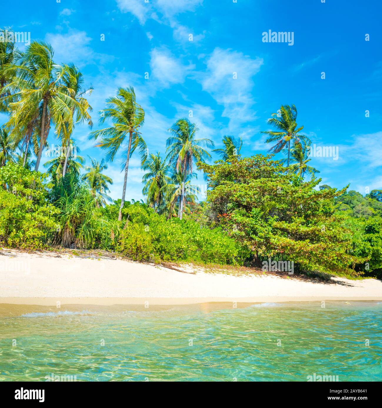 Beautiful beach at tropical island with palm trees Stock Photo - Alamy