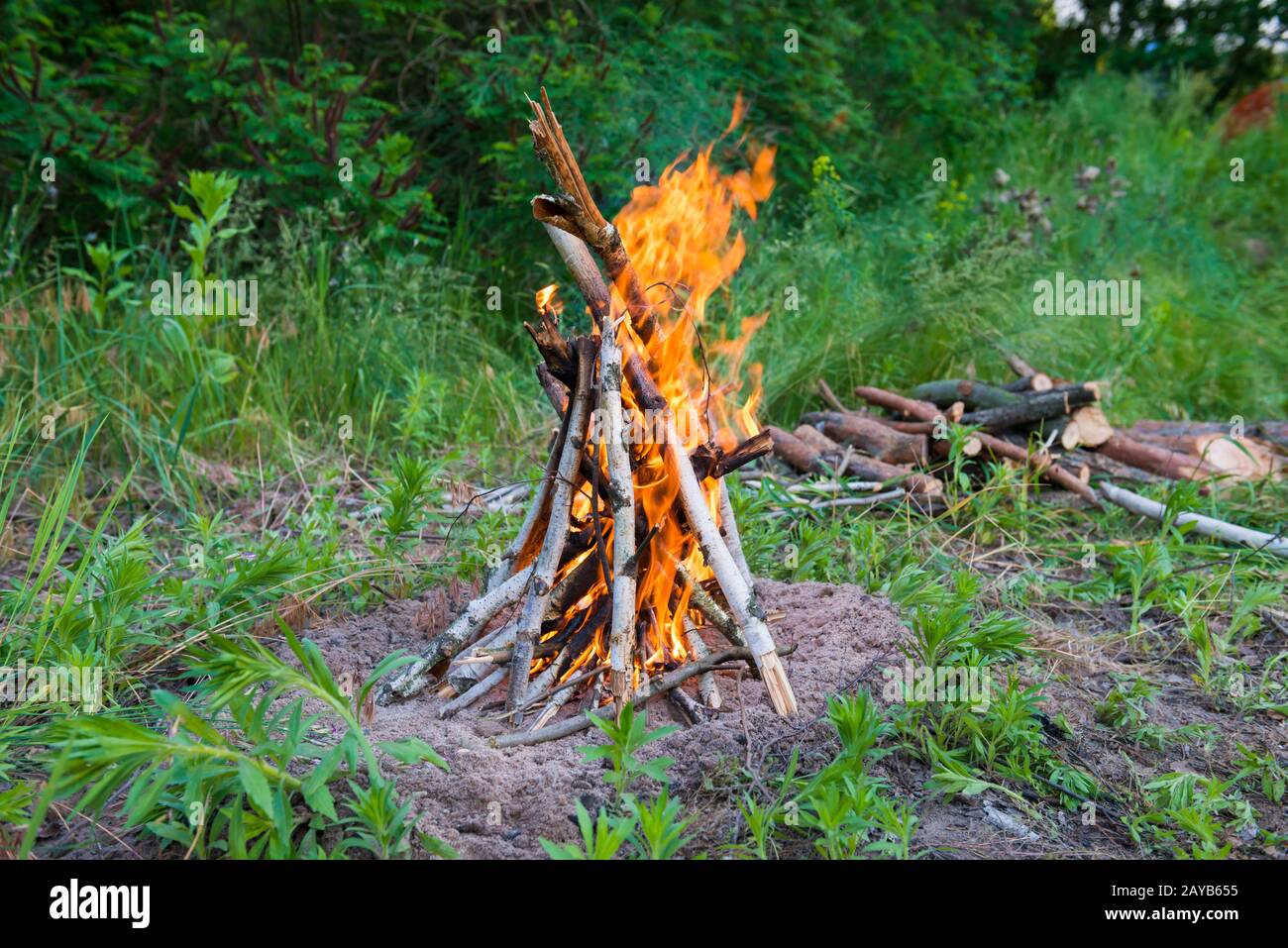 Forest green view hi-res stock photography and images - Alamy