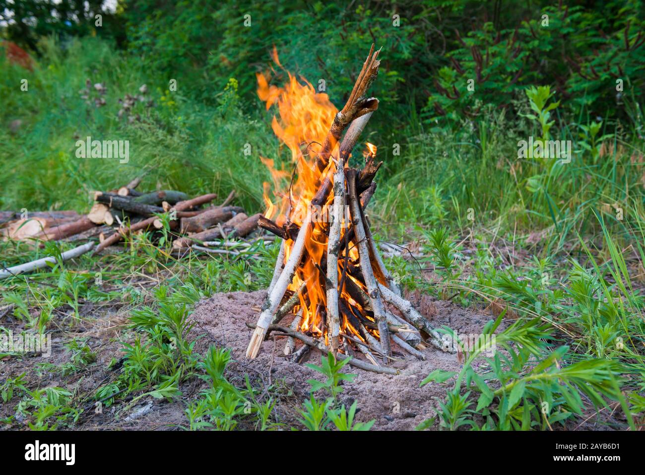 Woodland bonfire hi-res stock photography and images - Alamy