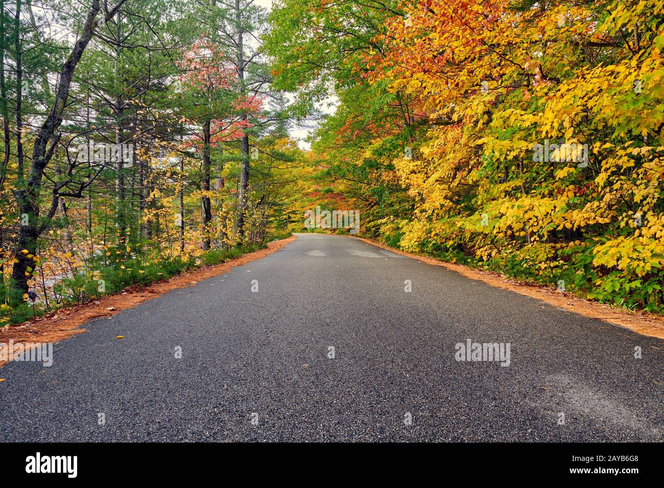 Autumn scene with road Stock Photo - Alamy
