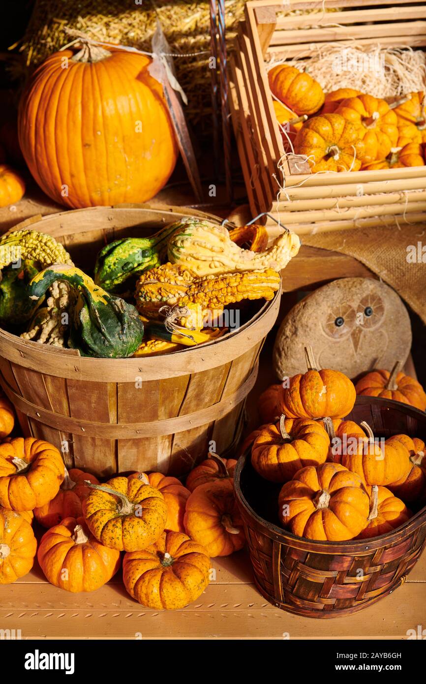 Farm fresh still life box hi-res stock photography and images - Alamy