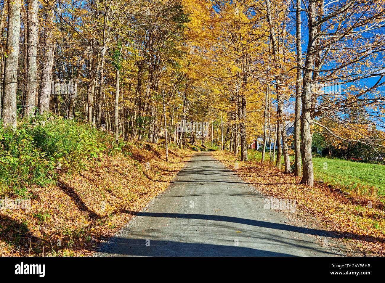 Dirt unpaved road at autumn in Vermont, USA Stock Photo - Alamy