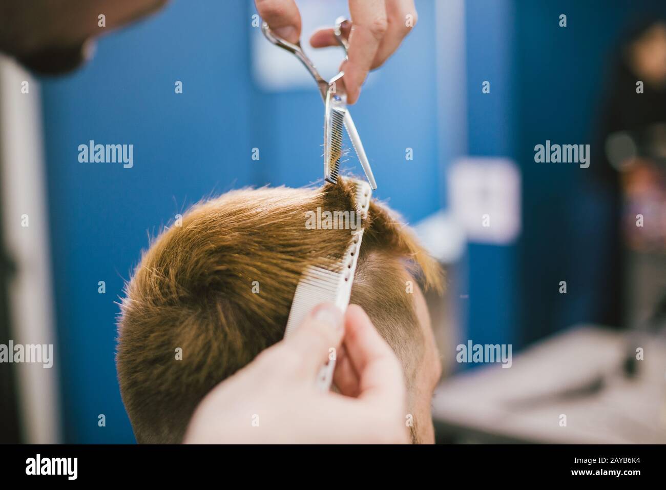 Barber Making Haircut Bearded Man In Barbershop. Professional stylist ...