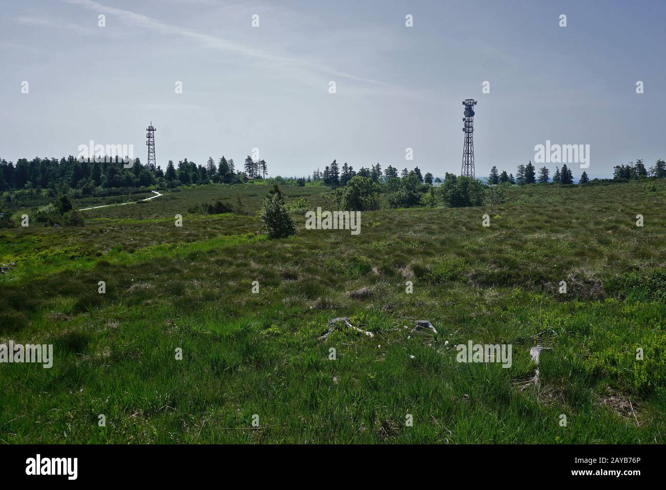 Black forest, Hornisgrinde, hill moor and towers Stock Photo - Alamy