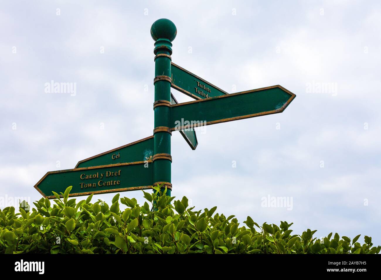 Green road sign on the crossroads with blue cloudy sky and green grass ...