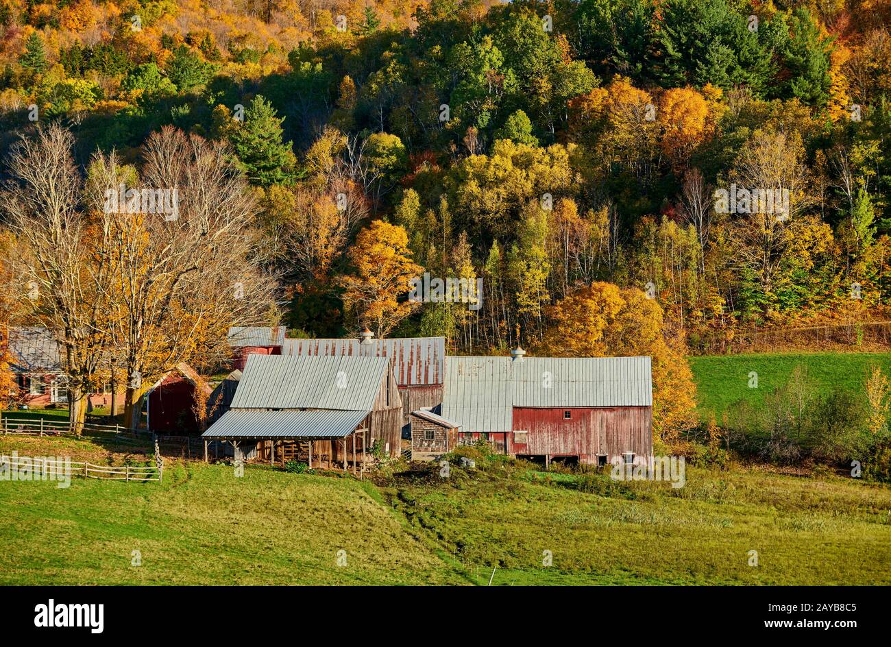 Jenne hi-res stock photography and images - Alamy