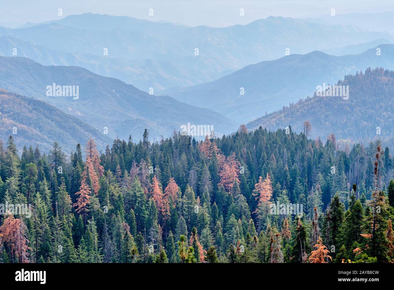 Sequoia National Park mountain landscape at autumn Stock Photo - Alamy