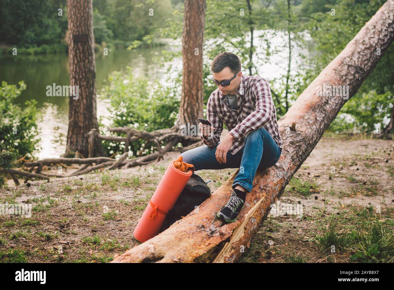 Truck in forest hi-res stock photography and images - Alamy