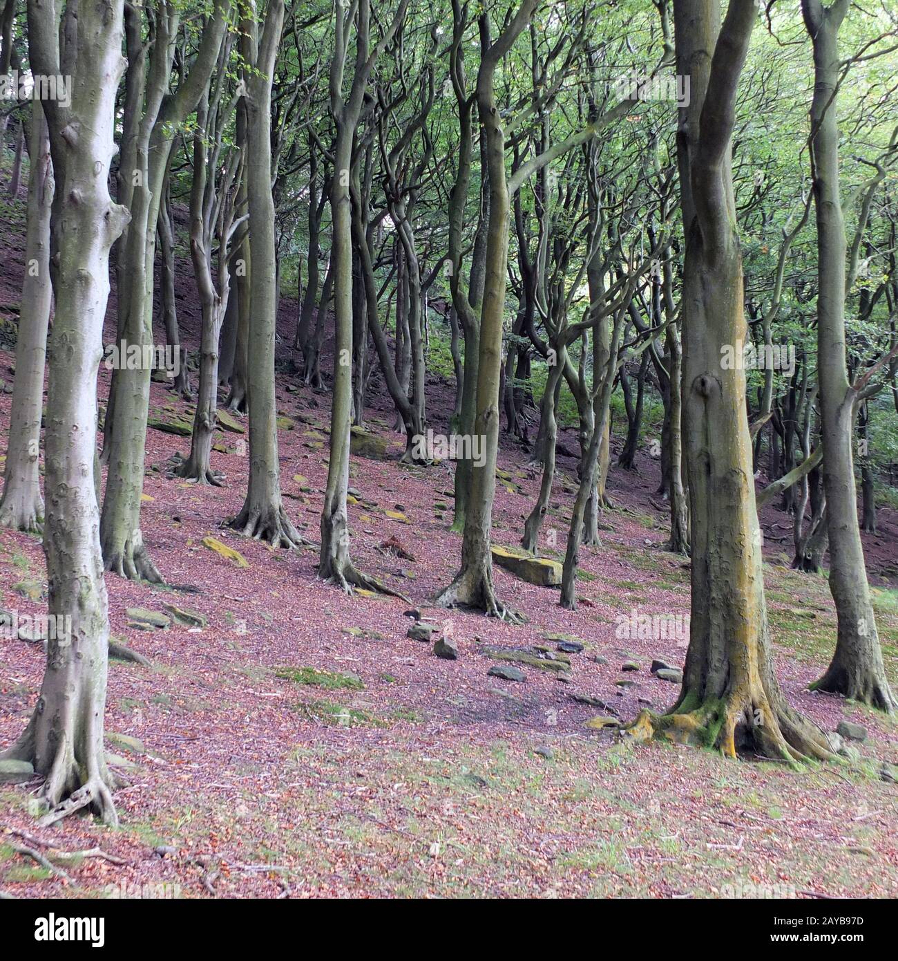 Red slope hi-res stock photography and images - Alamy