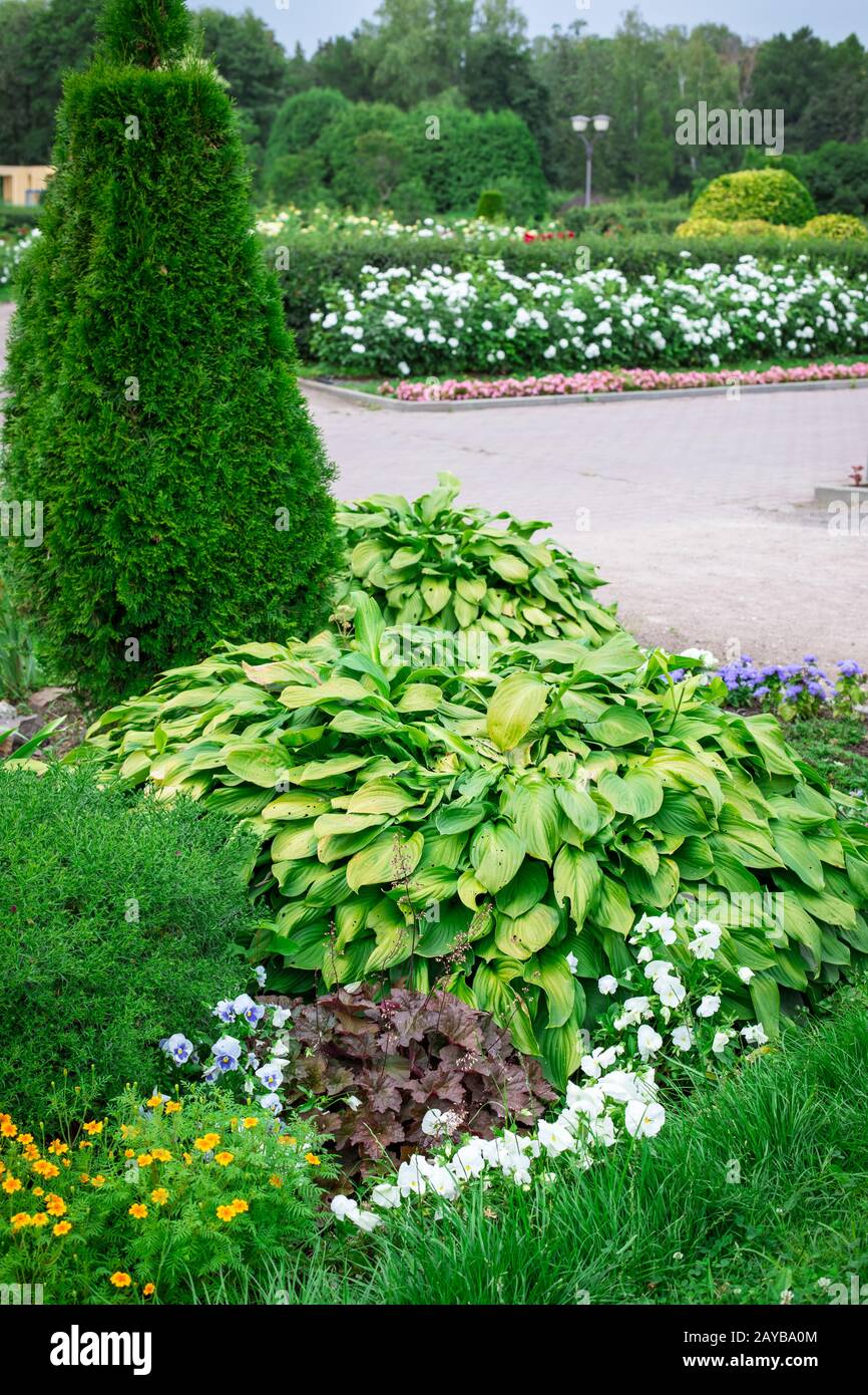 Fresh green landscape of formal garden Stock Photo - Alamy