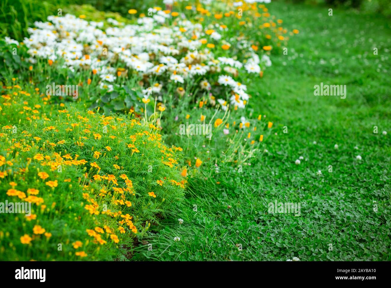 Formal landscape hi-res stock photography and images - Alamy