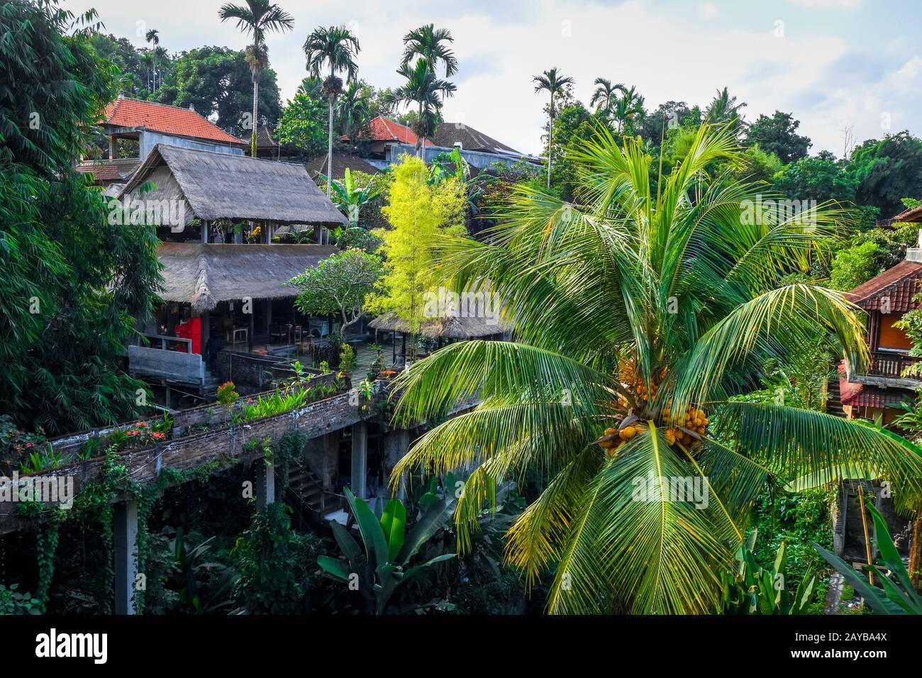 Houses in jungle, Ubud, Bali, Indonesia Stock Photo - Alamy