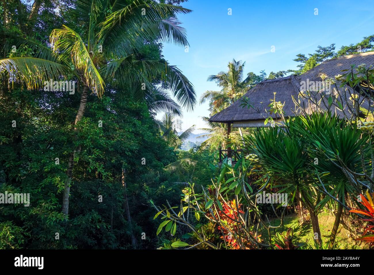 Forest tree house jungle hi-res stock photography and images - Alamy