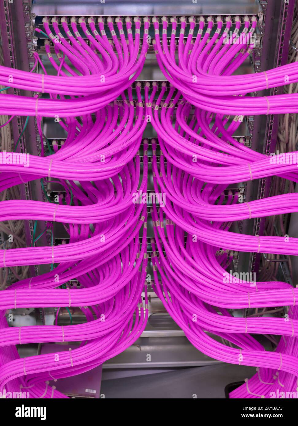 Network switch connections for network cable RJ45 Stock Photo - Alamy