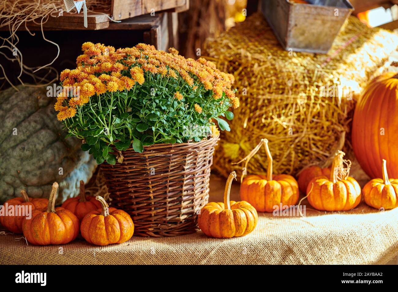 Rustic farm market hi-res stock photography and images - Alamy