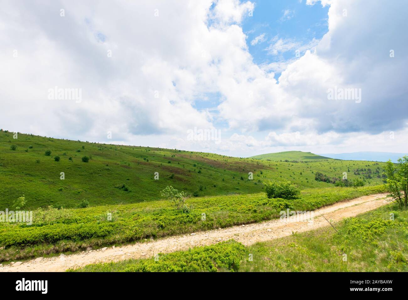 mountain dirt road scenery. path through the grassy meadows on rolling ...