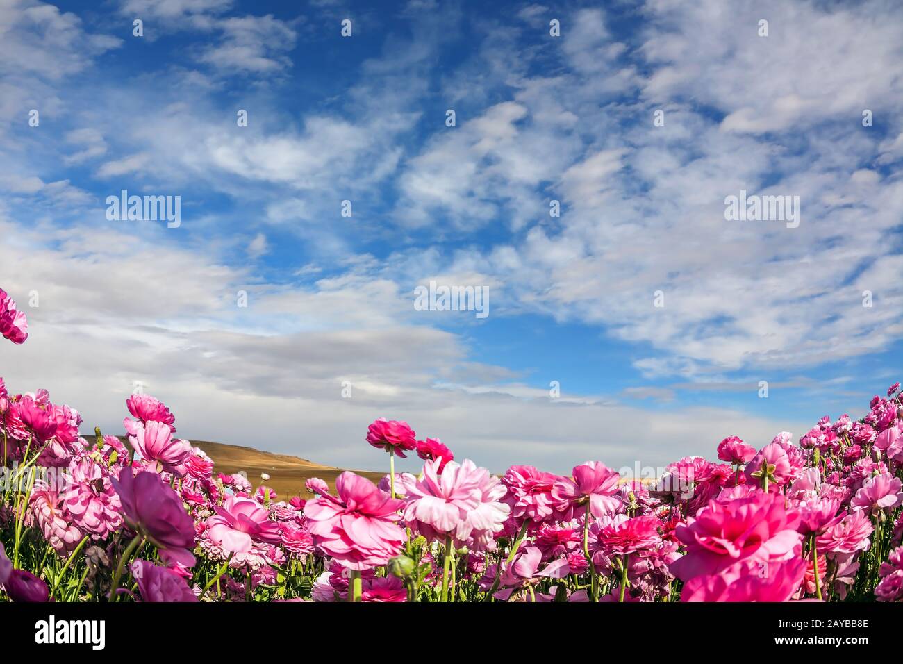 Cool backgrounds hi-res stock photography and images - Alamy