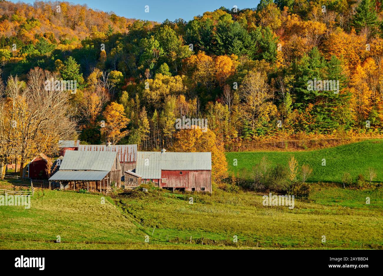 Jenne hi-res stock photography and images - Alamy