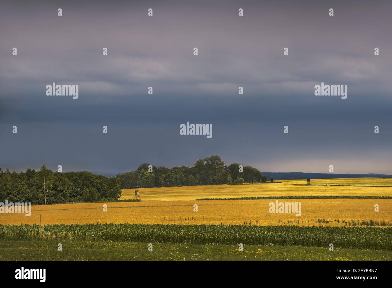 Fields on the boundary hi-res stock photography and images - Alamy