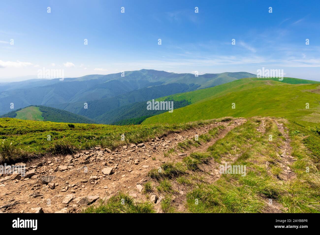 green rolling hills of mountain ridge borzhava. grassy alpine meadows ...