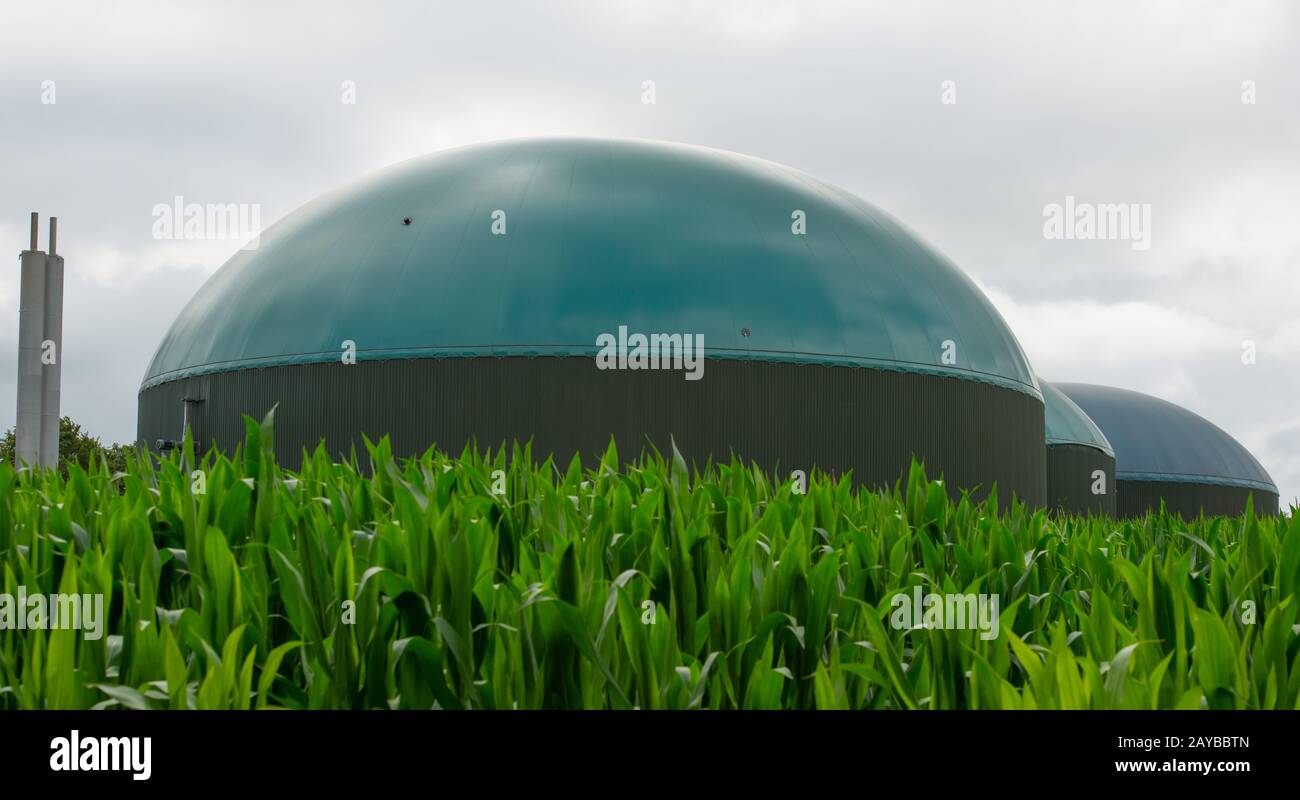 Biogas plant for generating electricity and generating energy during ...