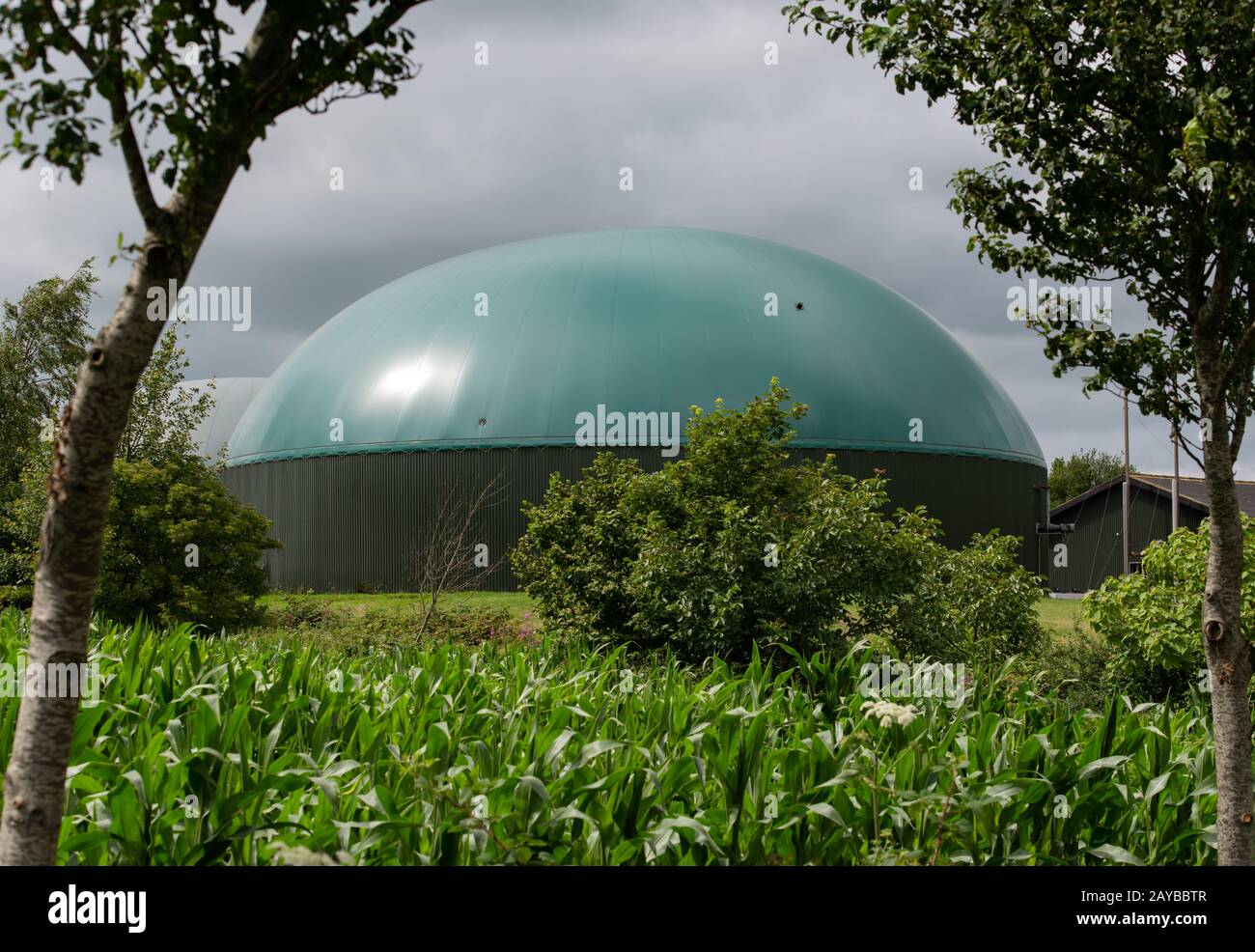 Biogas plant for generating electricity and generating energy during ...