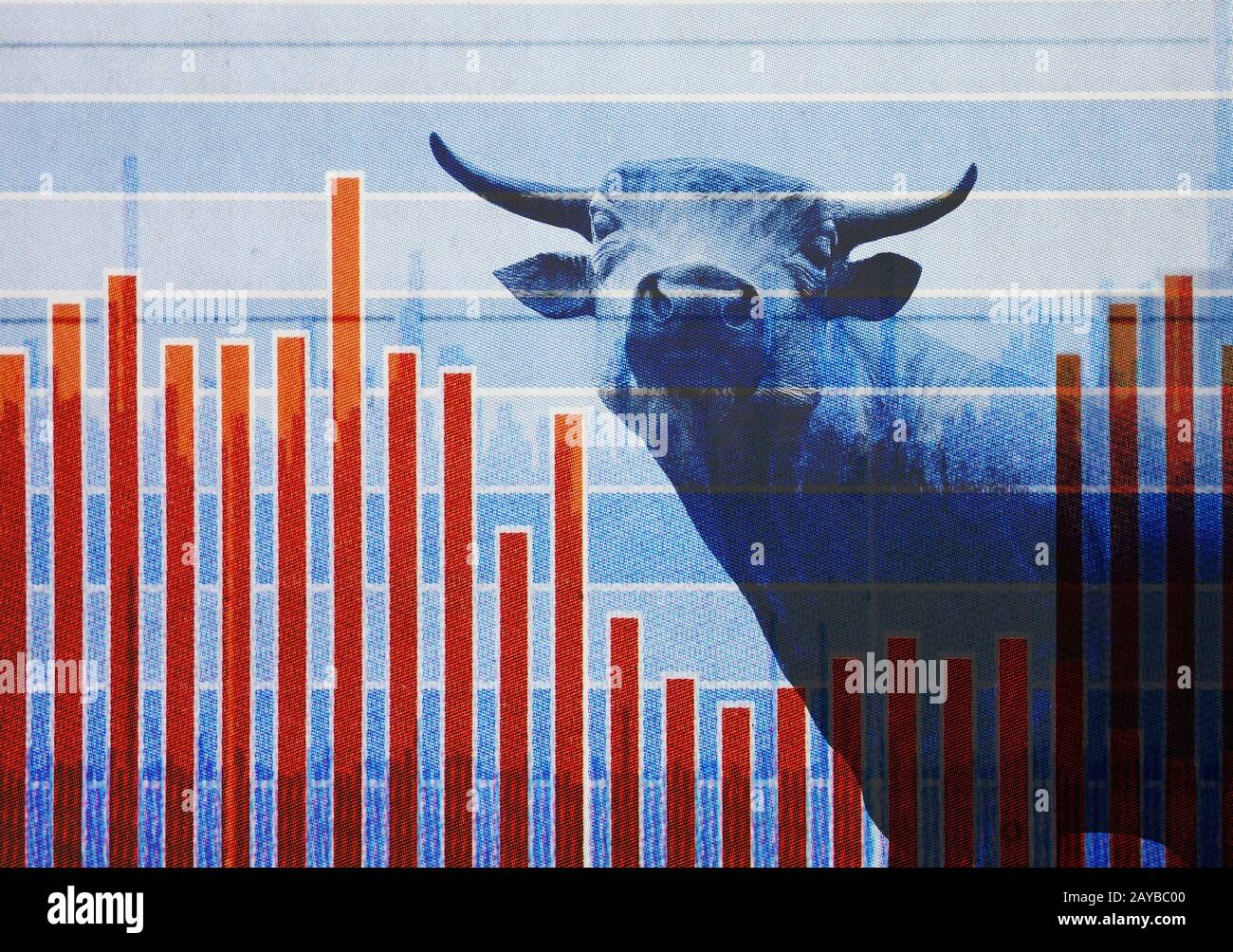 Bull stock market Stock Photo - Alamy