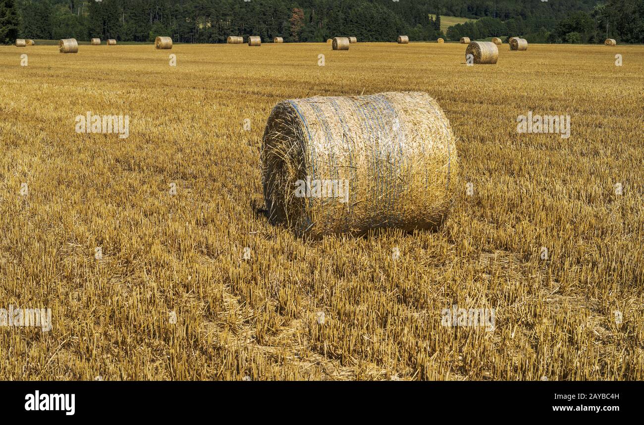 Grainfield field with straw bales Stock Photo - Alamy