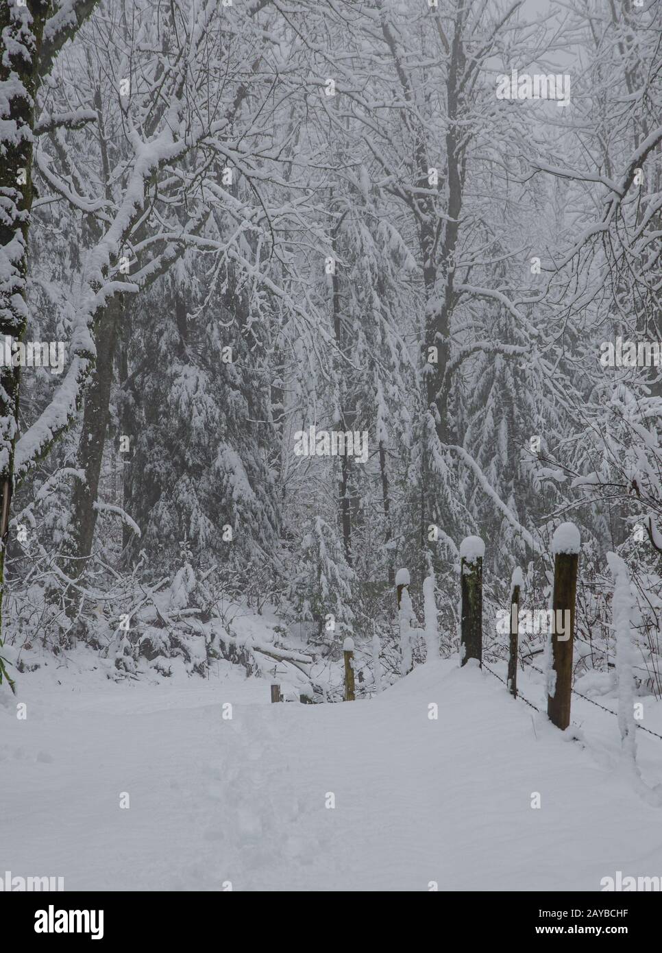 Westminster abbey in mission hi-res stock photography and images - Alamy