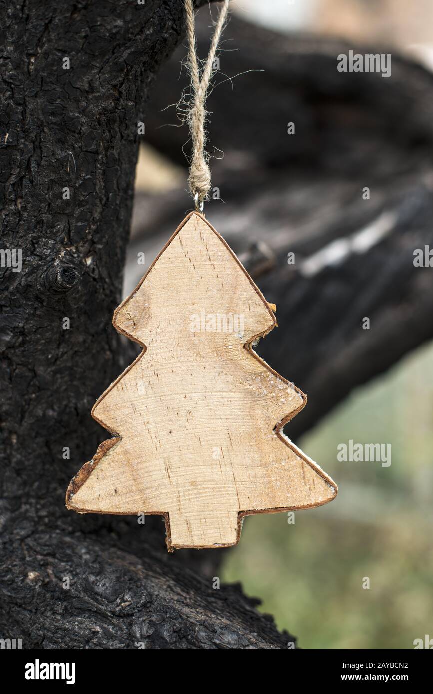 Christmas fir tree cut out Stock Photo - Alamy