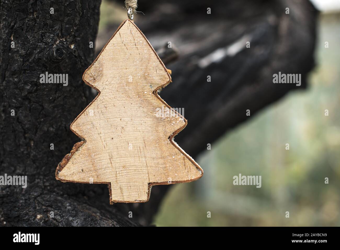 Christmas fir tree cut out Stock Photo - Alamy