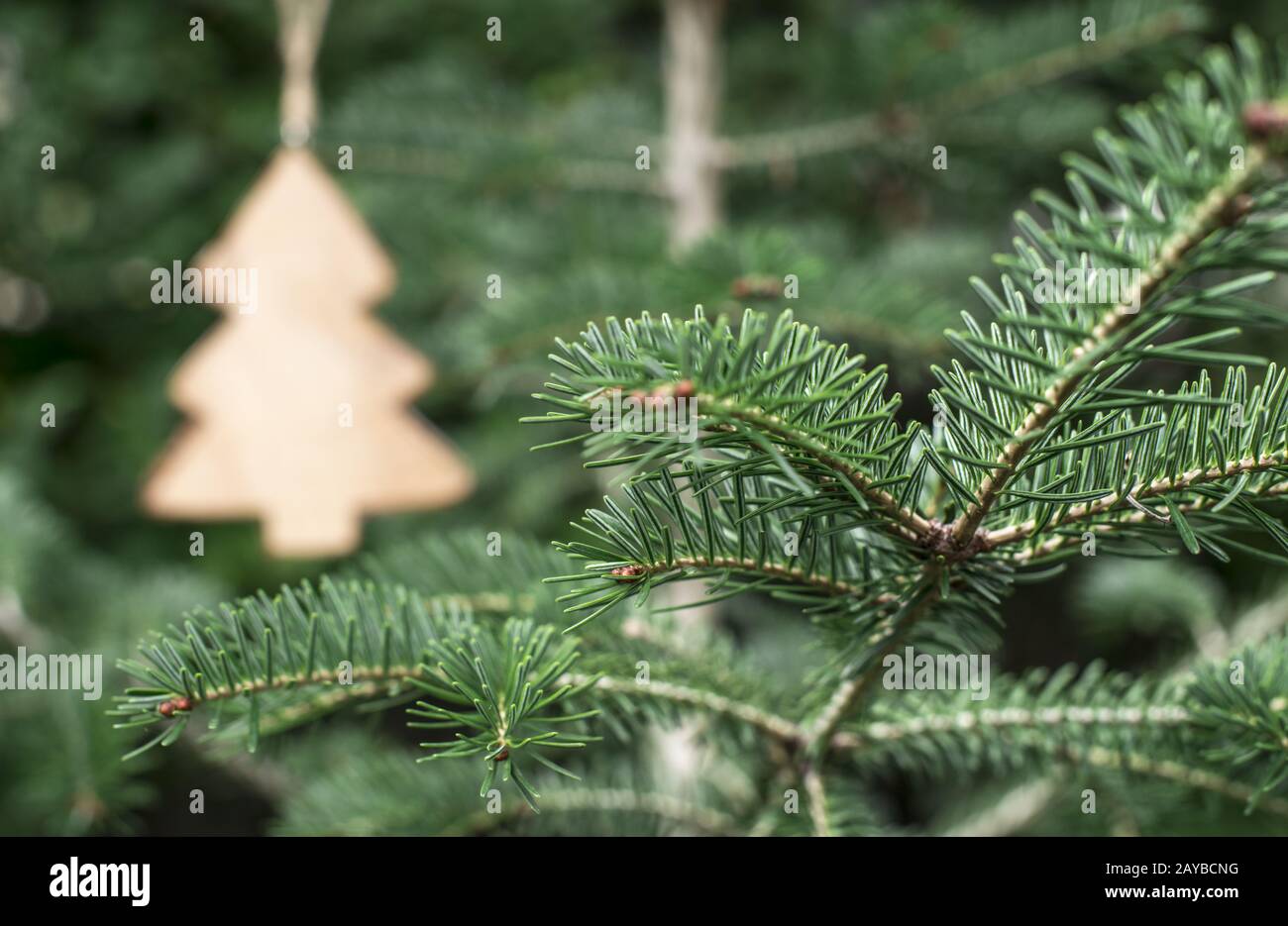 Christmas fir tree cut out Stock Photo - Alamy