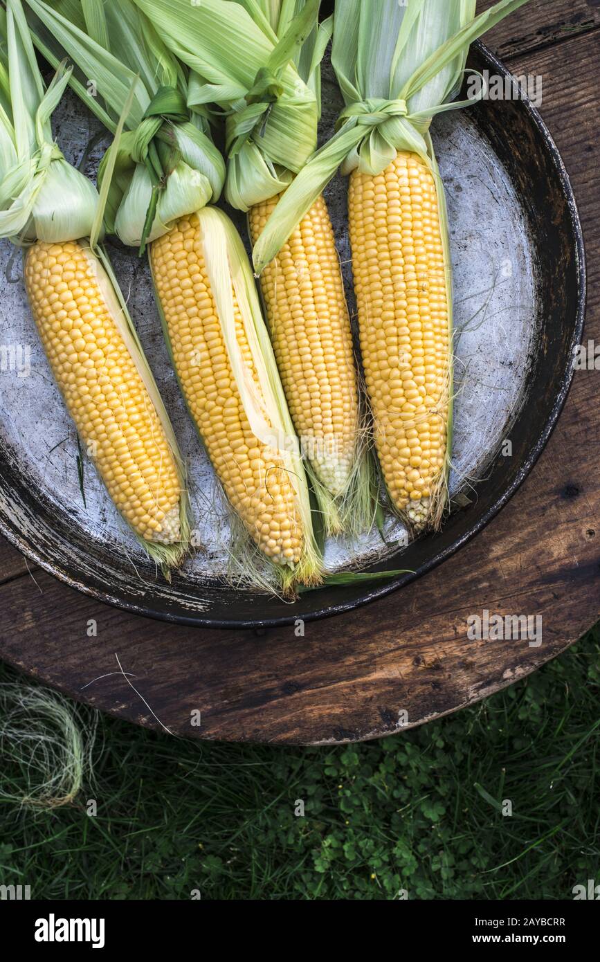 Raw corn in the garden Stock Photo - Alamy