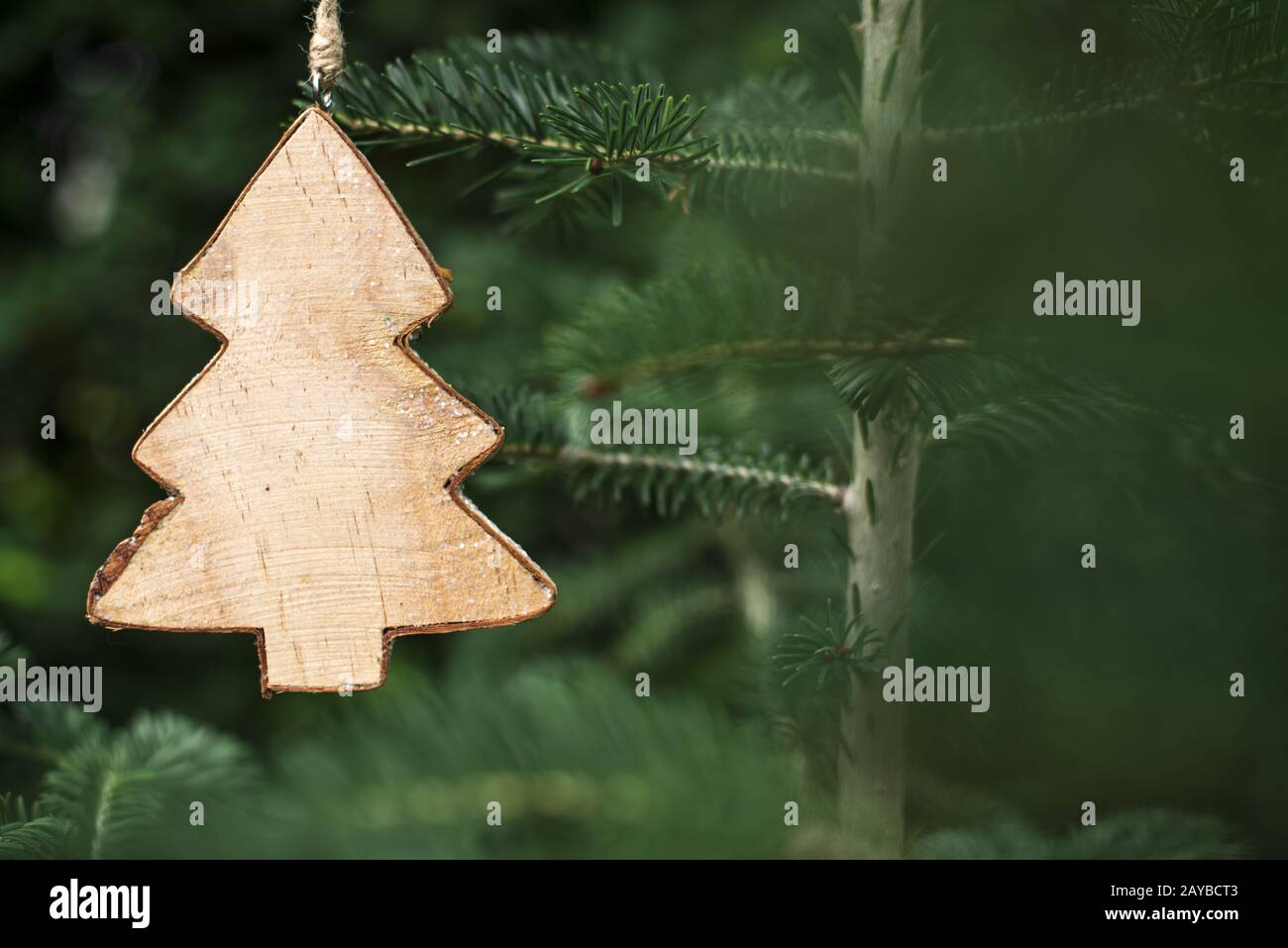 Christmas fir tree cut out Stock Photo - Alamy