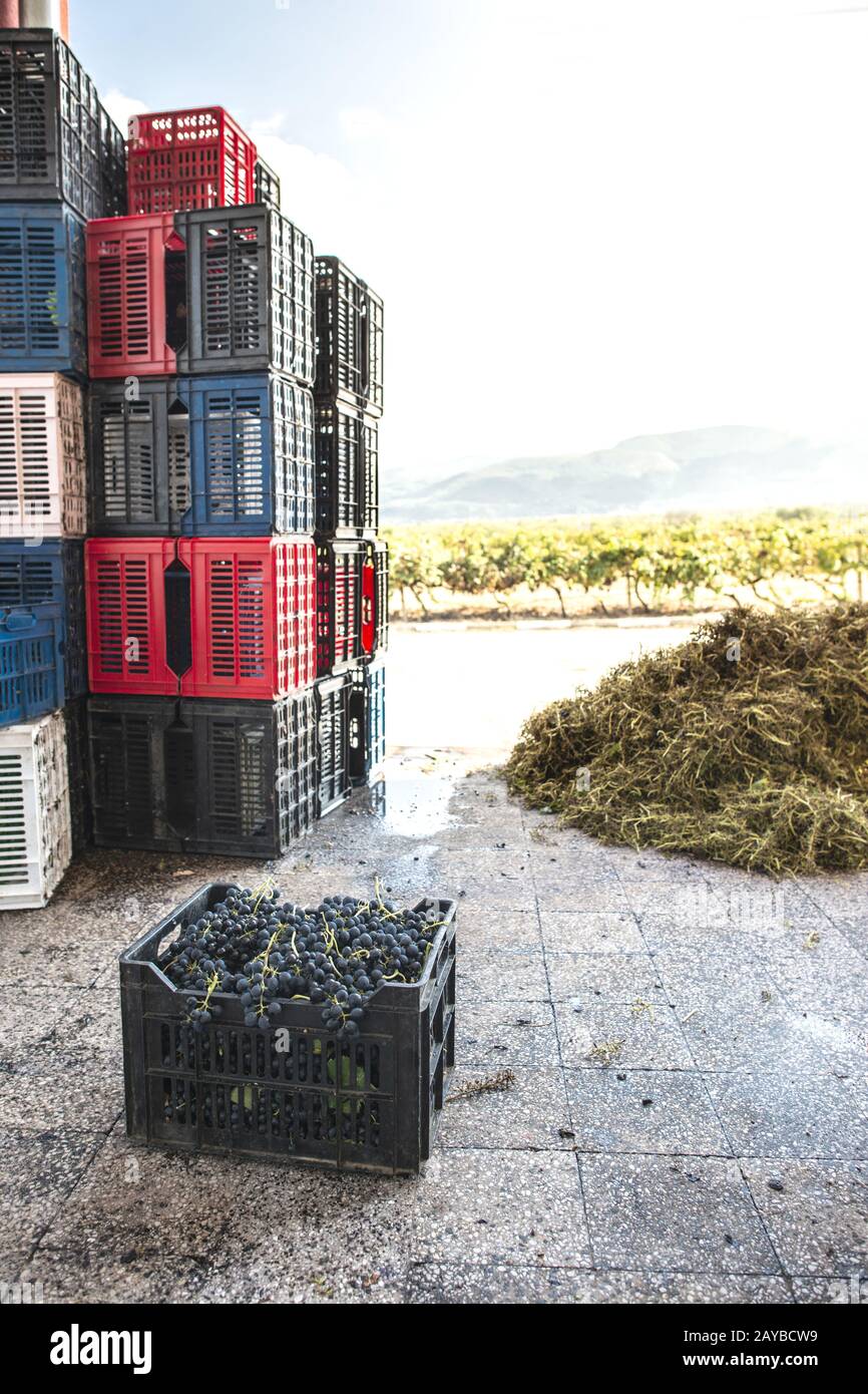 Grape crates hi-res stock photography and images - Alamy