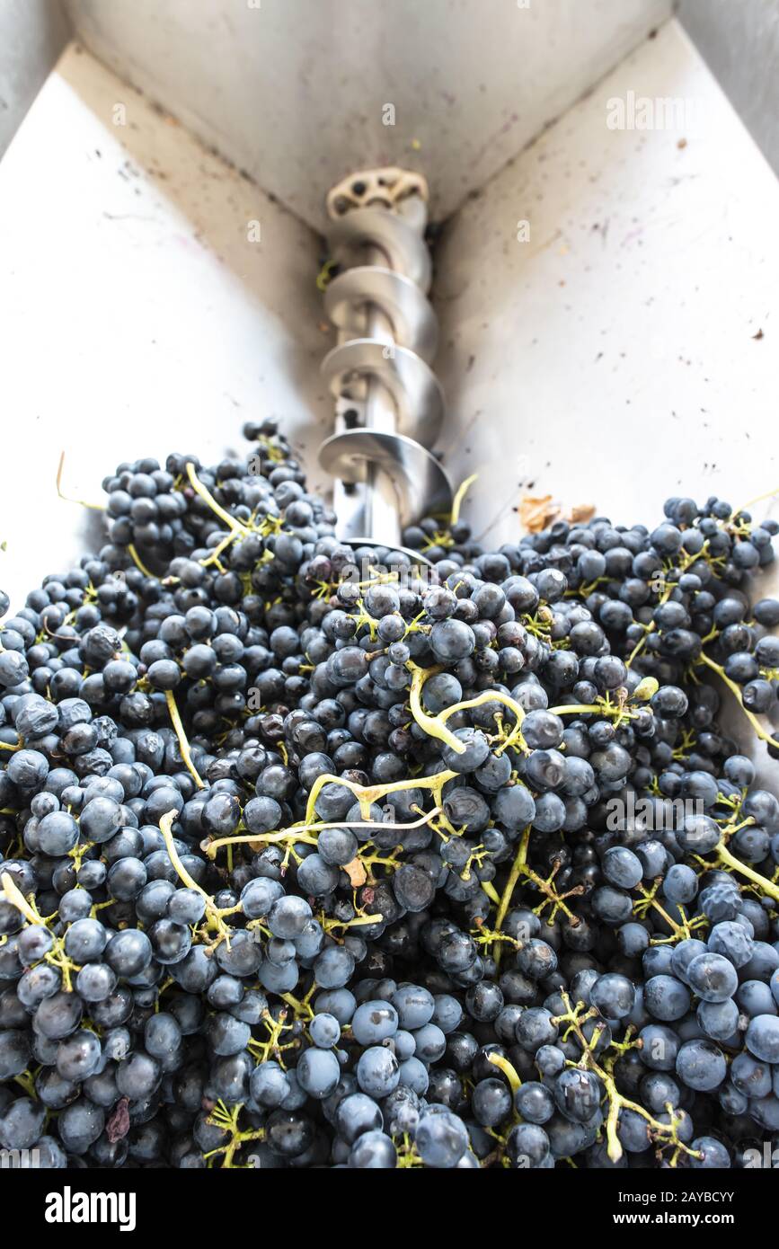Grape crushing destemmer hi-res stock photography and images - Alamy